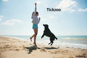 What happened to Tickzoo: History, Controversy, Competitors, Effects And More - TheOmniBuzz