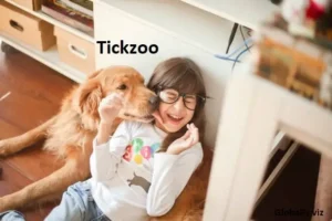 What happened to Tickzoo: History, Controversy, Competitors, Effects And More - TheOmniBuzz